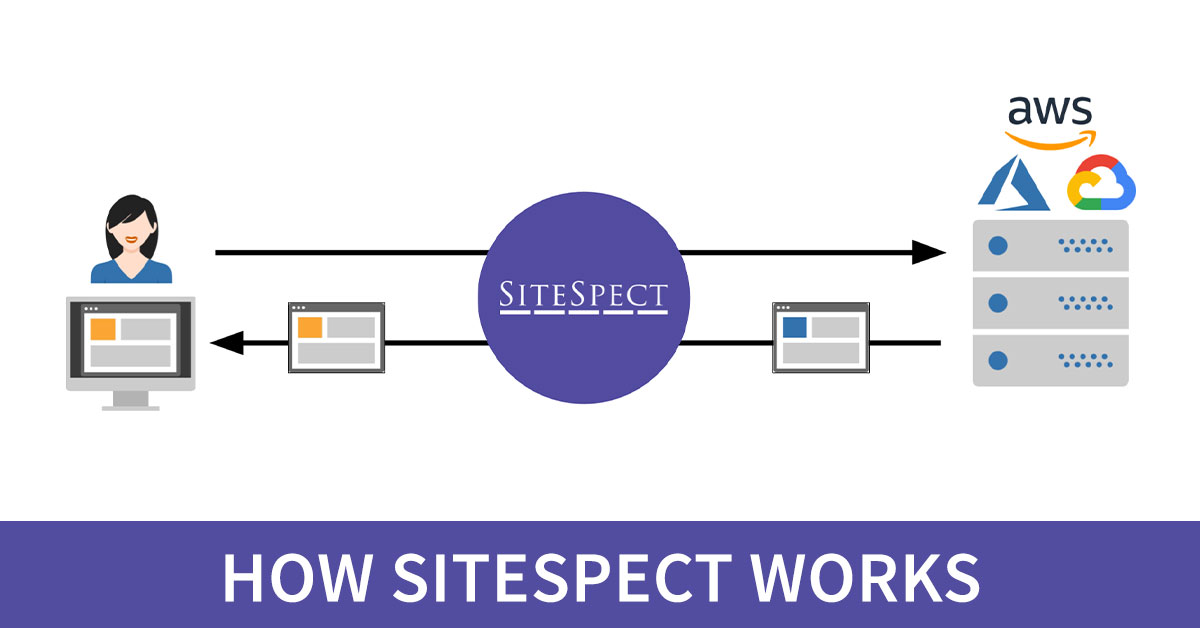 SiteSpect | Technical Brief